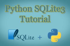 Building a Chatbot in Python using Flask - Tutorial