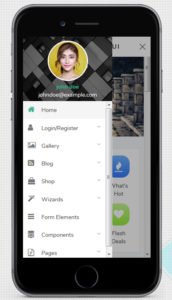 Mobile Application Template as a Key to Creating a Successful App